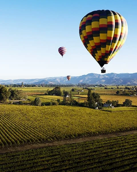 The Best Napa Valley Annual Events | Book Your Getaway