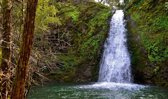 Book a Tour & Tasting for Collier Falls on CellarPass