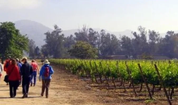 Book a Tour & Tasting for Crystal Hill Vineyard on CellarPass