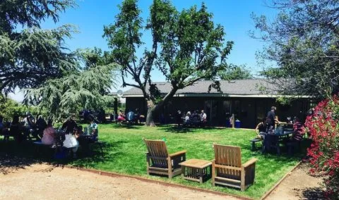 Book a Tour & Tasting for Mitchell Katz Winery on CellarPass