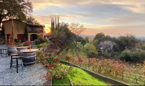 Book a Tour & Tasting for Cristaldi Vineyards Estate Winery on CellarPass