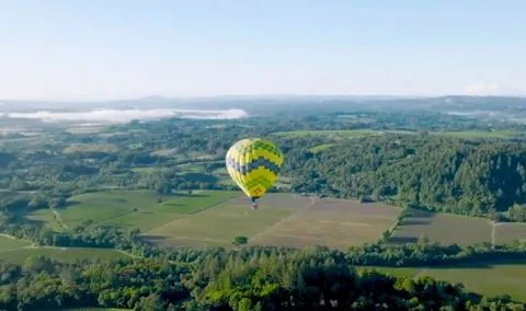 Book a Reservation for Calistoga Balloons on CellarPass