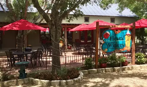 Book a Tour & Tasting for Fiesta Winery 290 on CellarPass