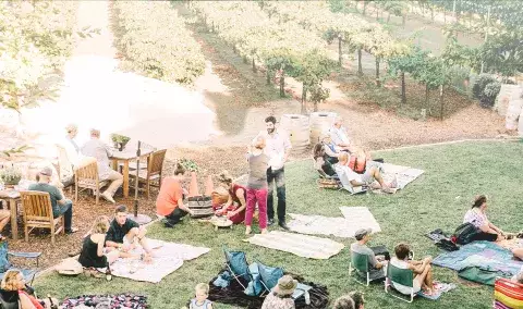 Attend Friday Alfresco - July 26th! by registering on CellarPass