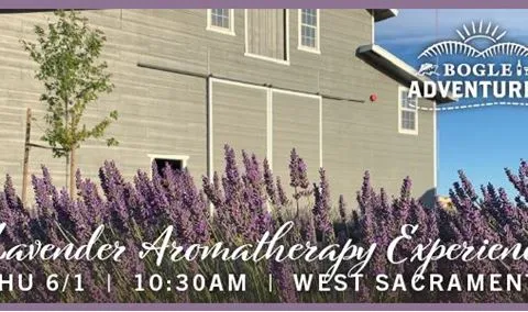 Attend Aromatherapy Lavender Experience by registering on CellarPass